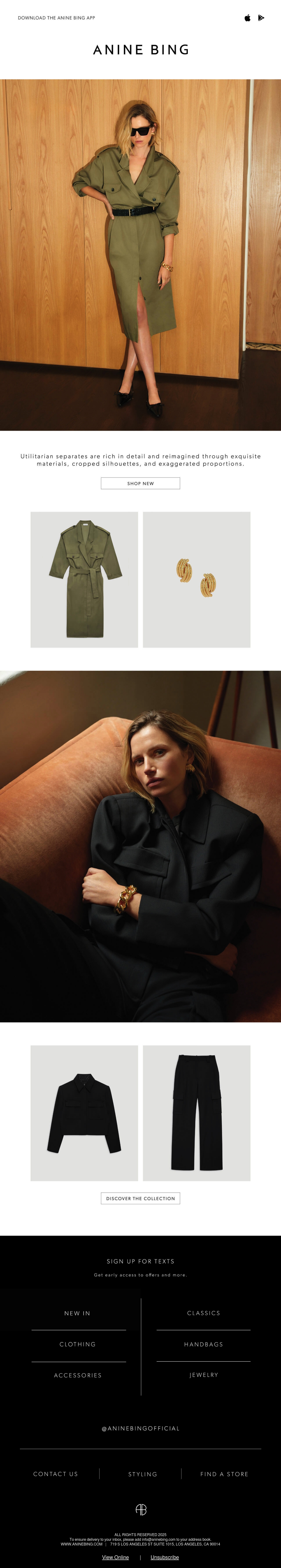 Email Inspiration from ANINE BING - Email Love