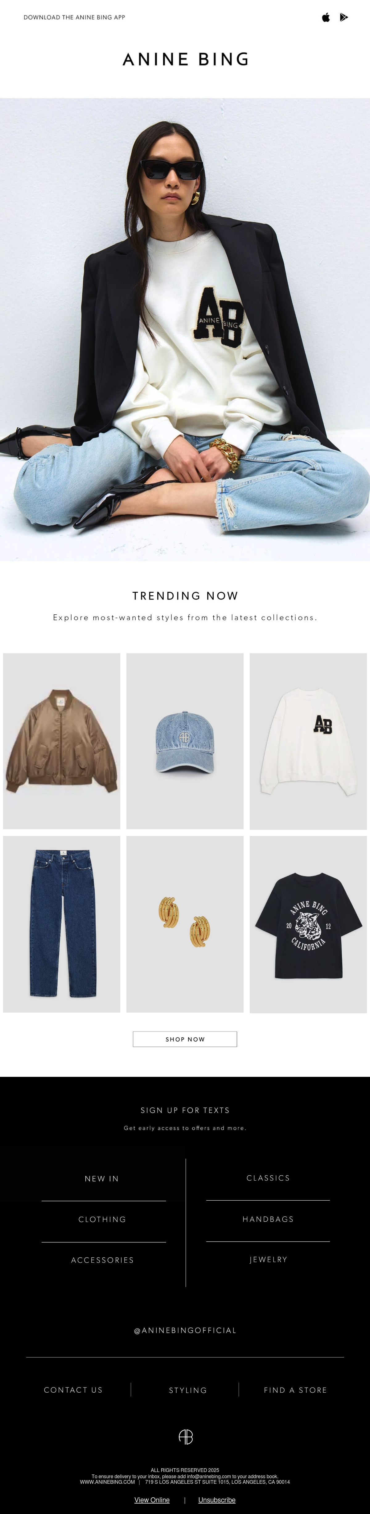 Email Inspiration from ANINE BING - Email Love