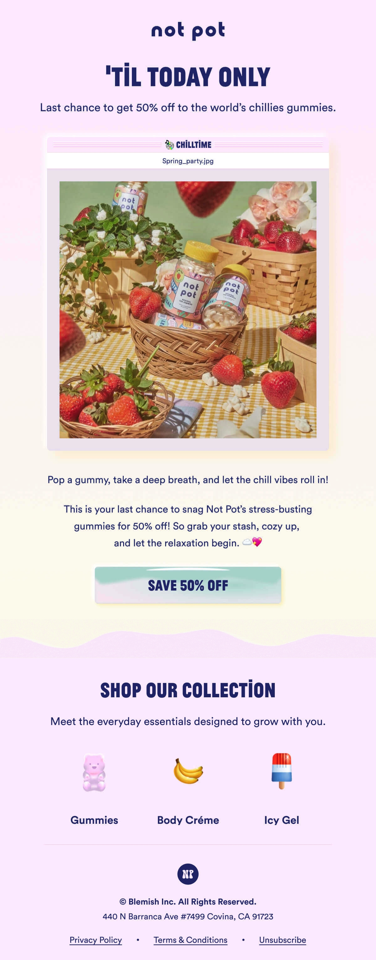 Email Inspiration from Not Pot - Email Love