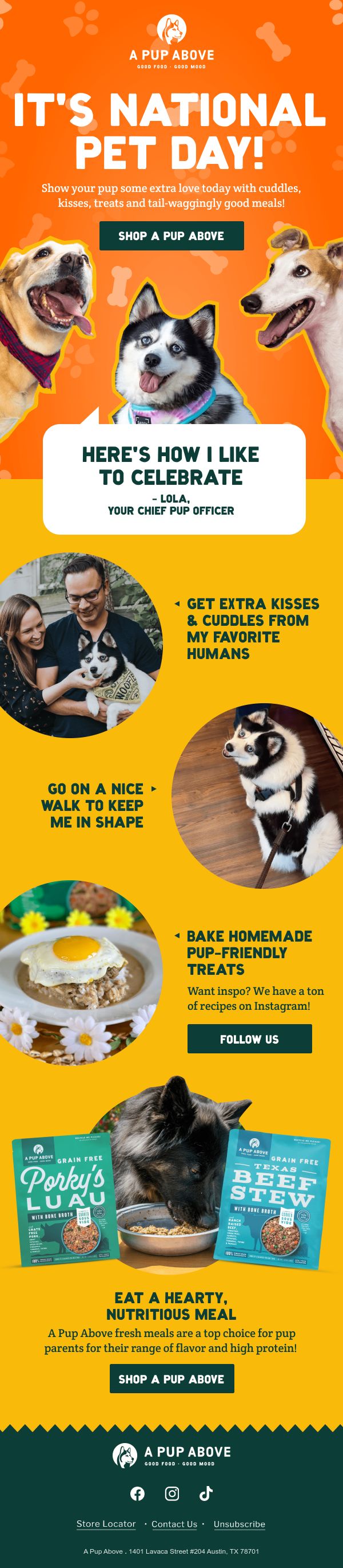 Email Inspiration from A Pup Above - Email Love