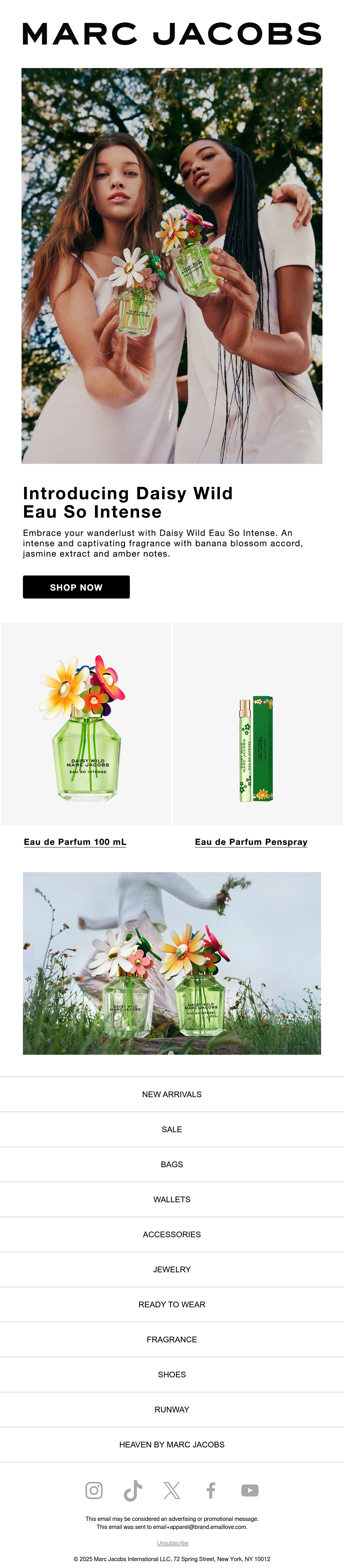 Email Inspiration from MARC JACOBS - Email Love